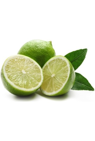 Serdar Çam Tohumculuk Nadir Lime Misket Limon Tohumu 3'ü