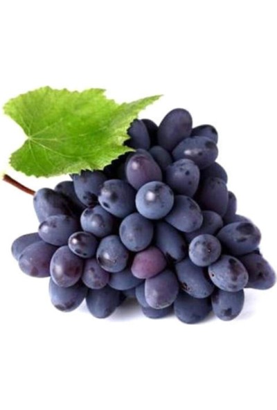 Serdar Çam Tohumculuk Nadir Siyah Şarköy Üzüm Tohumu 5'li