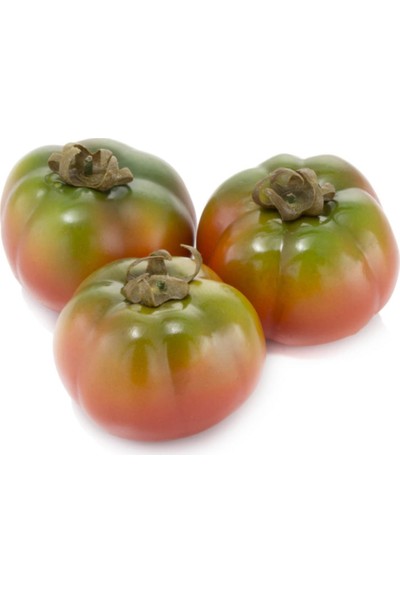 Çam Tohumculuk Yayla Domatesi Tohumu 15'li