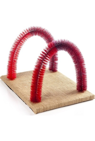 By Pet Kedi Tırmalama ve Kaşınma Platformu