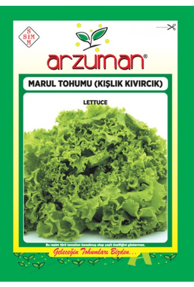 Arzuman Sebze Kırmızı Kışlık Marul Tohum 10 gr