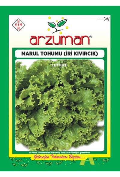 Arzuman Sebze Yazlık Kıvırcık Marul Tohum 10 gr