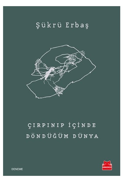 Çırpınıp İçinde Döndüğüm Dünya - Şükrü Erbaş