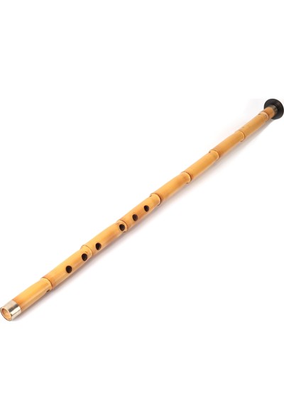 Hepsinetten Bilişim Profesyonel Kız Ney (Si) Sol