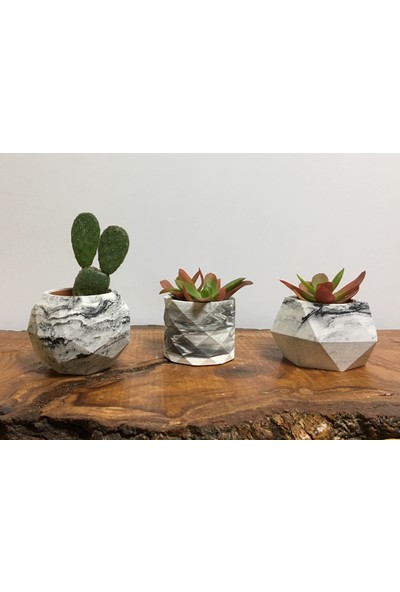 Decolight Beton Sukulent ve Kaktüs Saksı Seti Mermer Efektli Üçlü Decolight Beton Sukulent ve Kaktüs Saksı Seti Mermer Efektli Üçlü
