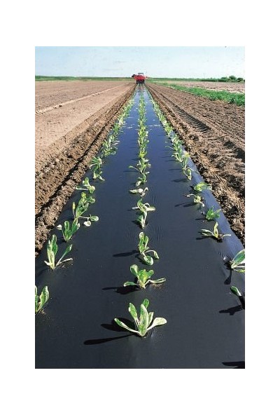 Bkr Çilek Malç Naylonu Deliksiz 110 cm 20 mt