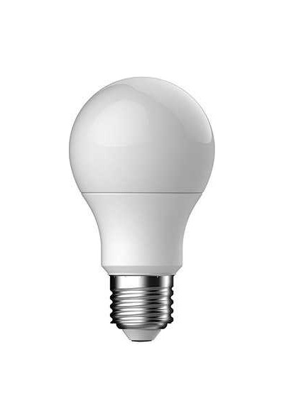 Seldur 9W E 27 LED Ampul 6500K