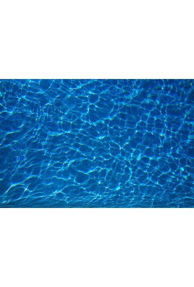 Kanki Pet 155 cm Akvaryum Arka Fon Yapıştırma 155 x 65 cm Kanki Pet 155 cm Akvaryum Arka Fon Yapıştırma 155 x 65 cm