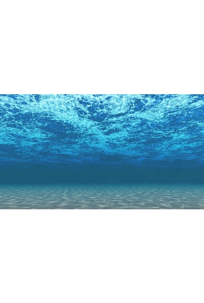 Kanki Pet 55 cm Akvaryum Arka Fon Yapıştırma 55 x 40 cm Kanki Pet 55 cm Akvaryum Arka Fon Yapıştırma 55 x 40 cm