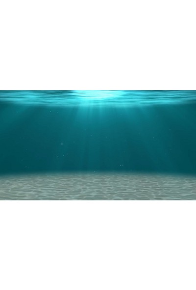 Kanki Pet 55 cm Akvaryum Arka Fon Yapıştırma 55 x 40 cm Kanki Pet 55 cm Akvaryum Arka Fon Yapıştırma 55 x 40 cm