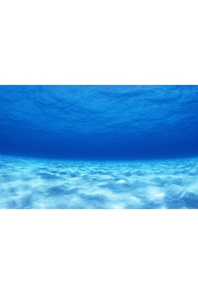Kanki Pet 55 cm Akvaryum Arka Fon Yapıştırma 55 x 40 cm Kanki Pet 55 cm Akvaryum Arka Fon Yapıştırma 55 x 40 cm