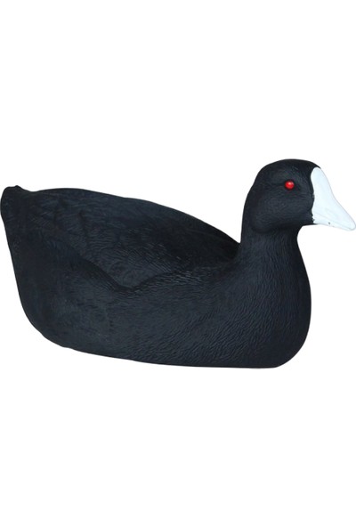 Dr Duck Erkek Meke Mühre