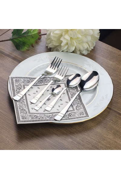 Çağrı 60 Parça Çatal Kaşık Kutulu Set Paslanmaz