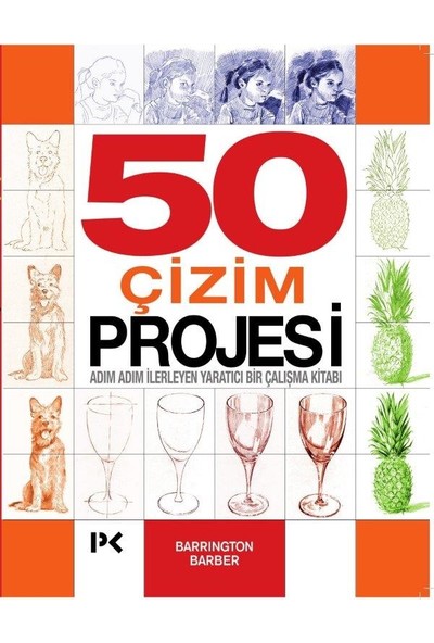 50 Çizim Projesi - Barrington Barber 50 Çizim Projesi - Barrington Barber