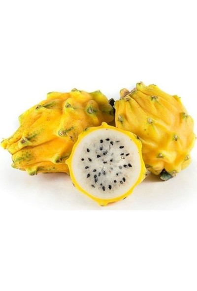 Tohhum Sarı Ejder Meyvesi Tohumu 10'lu