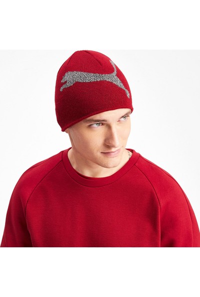 Puma Ess Logoeanıe Kırmızı Erkek Bere