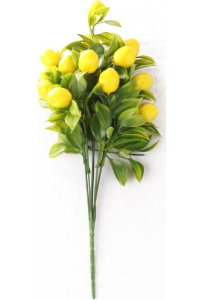 Beysüs Limon Demeti Beysüs Limon Demeti