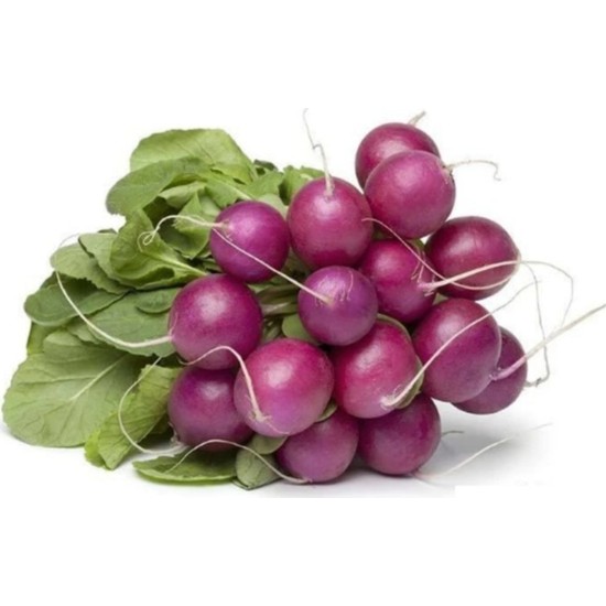 Serdar Çam Tohumculuk Nadir Mor Turp Tohumu 25'li Fiyatı