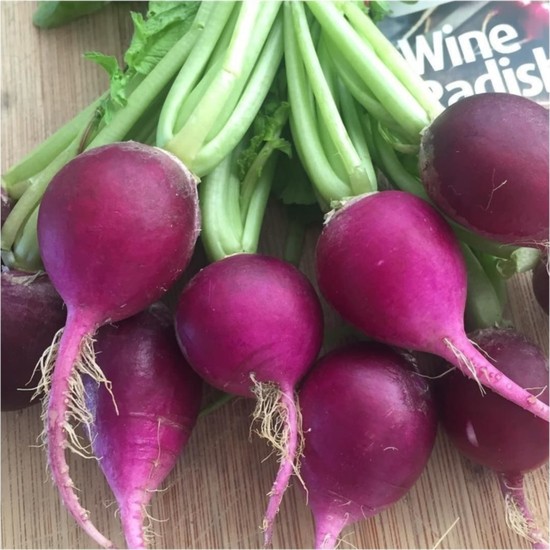 Serdar Çam Tohumculuk Nadir Mor Turp Tohumu 25'li Fiyatı