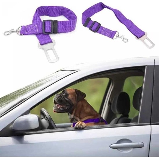 Ankaflex Araba Renkli Köpek Kedi Tasması Emniyet Kemeri Oto Fiyatı Ankaflex Araba Renkli Köpek Kedi Tasması Emniyet Kemeri Oto Fiyatı
