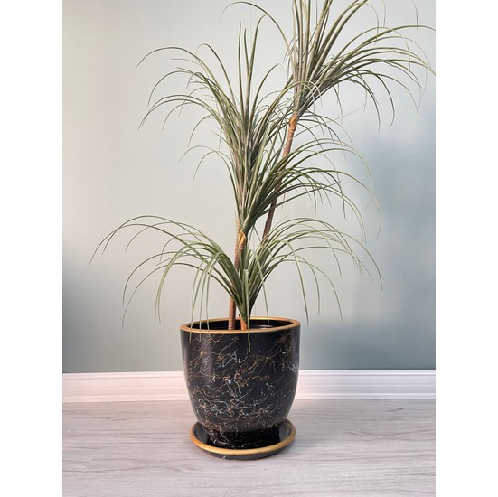 Odka U Saksı Tabaklı 30 Cm Lily Siyah Gold Beyaz Mermer Fiyatı