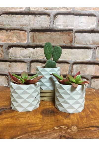 Decolight Üçlü Kristal Prizma Ham Beton Döküm Kaktüs ve Skulent Saksı Seti Decolight Üçlü Kristal Prizma Ham Beton Döküm Kaktüs ve Skulent Saksı Seti
