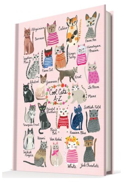 Deffter Cool Cats Çizgili Defter Deffter Cool Cats Çizgili Defter