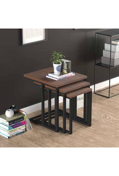 Wood House Lebron Zigon Sehpa Ceviz