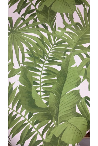 Bien Exclusive Açık Yeşil Büyük Yapraklı Tropikal Duvar Kağıdı 5,33 M²