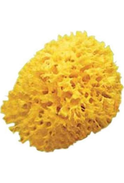 Okbaby Doğal Banyo Süngeri Nr:10