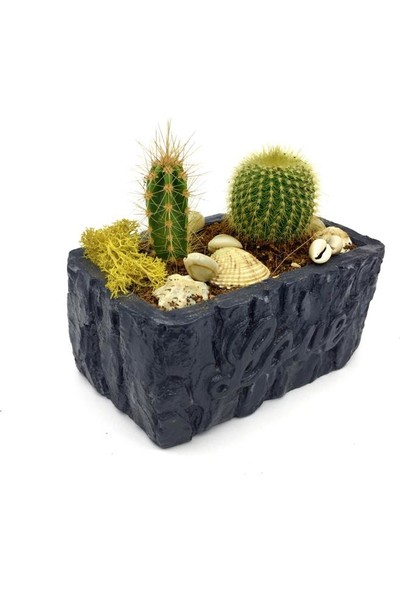 Modesign Kütük Desenli Love Saksıda Kaktüs Modesign Kütük Desenli Love Saksıda Kaktüs