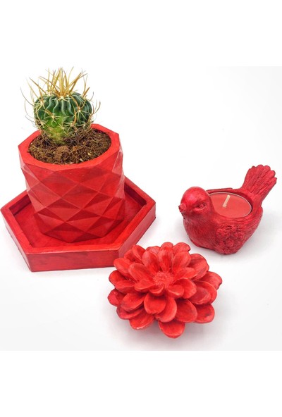 Modesign Kokulu Taş & Mumluk & Saksı Kaktüs Takımı