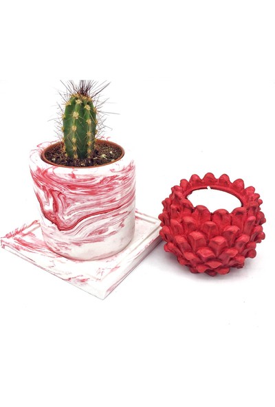 Modesign Tepsili Saklıda Kaktüs ve Mumluk Takımı