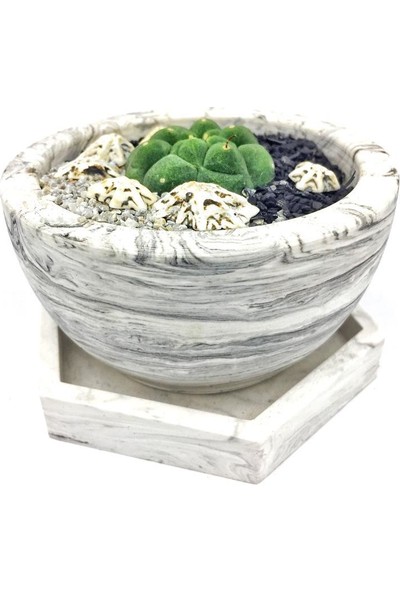 Modesign Ebruli Saksı Setinde Kaktüs