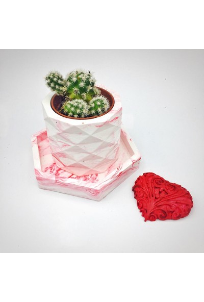 Modesign Ebruli Geometrik Saksıda Kaktüs ve Kalpli Kokulu Taş Takımı