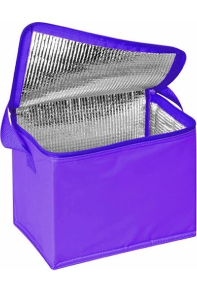 Ankaflex Soğutucu Kamp Piknik Çantası Termos Soğuk Tutucu Çanta Termos