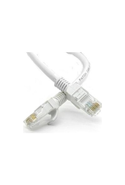 Wellhise Cat6 1 m Ethernet Kablosu