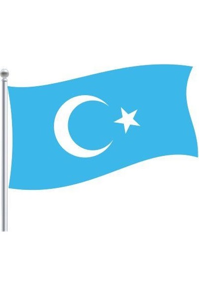 Doruk Doğu Türkistan Bayrağı 70 x 105 cm