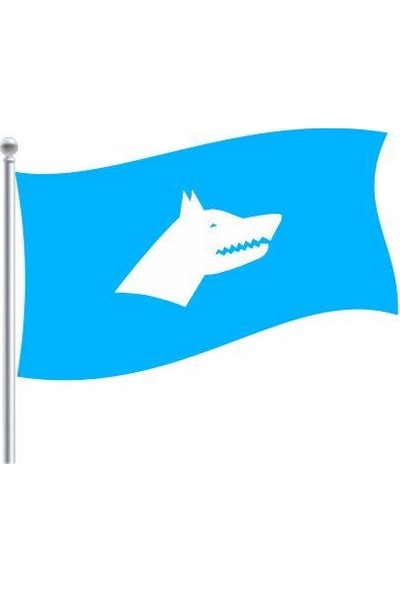 Doruk Göktürk Bayrağı 100 x 150 cm