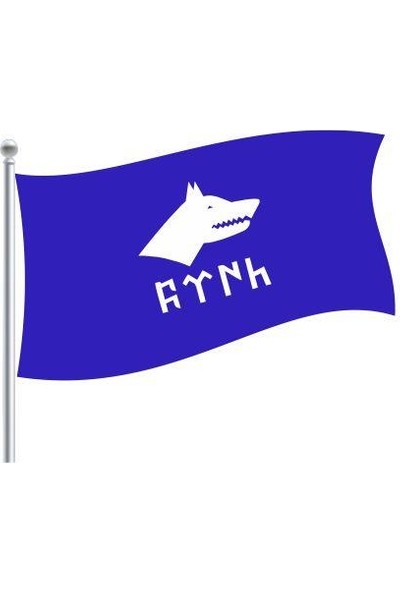 Doruk Göktürkçe Türk Yazılı Göktürk Kağanlığı Bayrağı 200 x 300 cm Doruk Göktürkçe Türk Yazılı Göktürk Kağanlığı Bayrağı 200 x 300 cm