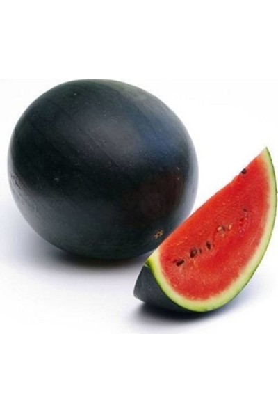 Serdar Çam Tohumculuk Nadir Halep Siyah Karapuz Tohumu Süper Paket 300 Tohum