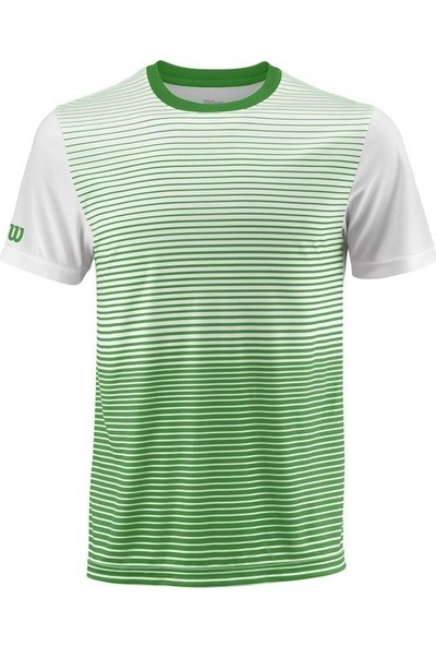 Wilson Team Striped Crew Yeşil Erkek T-Shirt WRA769702