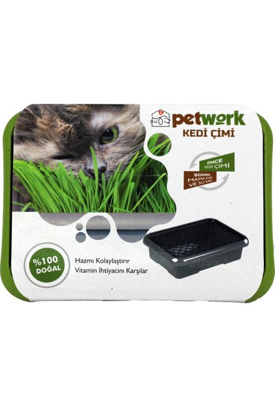 Petwork Kedi Çimi Yeşil