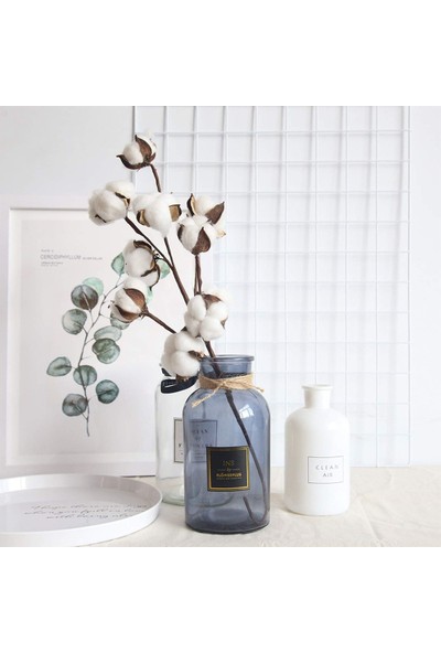 Fekarehome Doğal Pamuk Dalları 6 Adet Fekarehome Doğal Pamuk Dalları 6 Adet