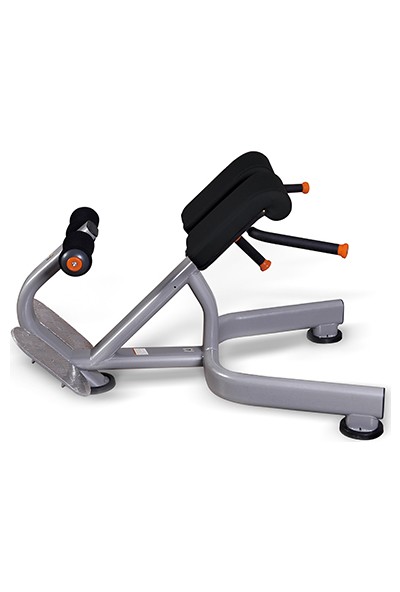 Profitness Roman Chair Profitness Roman Chair