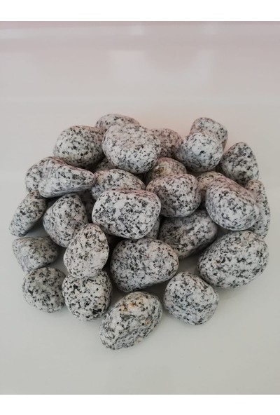 Bio Aquatic Ekodoğa Siyah Beyaz Çizgili Granit Taşı 20 kg 2,5 - 4 cm Süs taşı Dekoratif Taşlar Bahçe Taşları Dolomit Taşı Bio Aquatic Ekodoğa Siyah Beyaz Çizgili Granit Taşı 20 kg 2,5 - 4 cm Süs taşı Dekoratif Taşlar Bahçe Taşları Dolomit Taşı