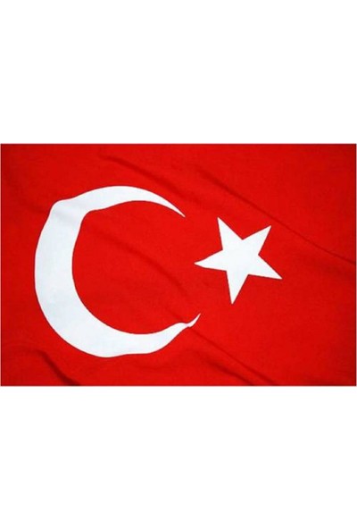 Kale Bayrak Alpaka Türk Bayrağı 40 x 60 cm