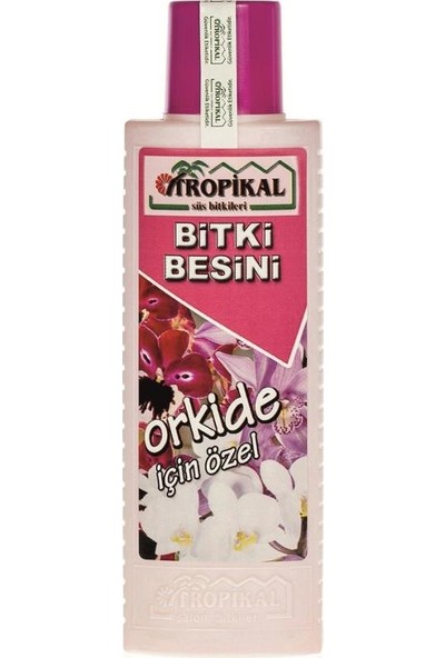 Tropikal Bitki Besini Orkide