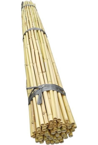 Fidan Destek Çubuğu Kamış 140-150 cm Boy (5'li Paket) Fidan Destek Çubuğu Kamış 140-150 cm Boy (5'li Paket)