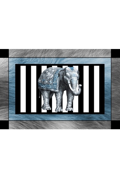 Soley Zambiya Djt 40 x 60 cm Banyo Paspası 0860 01